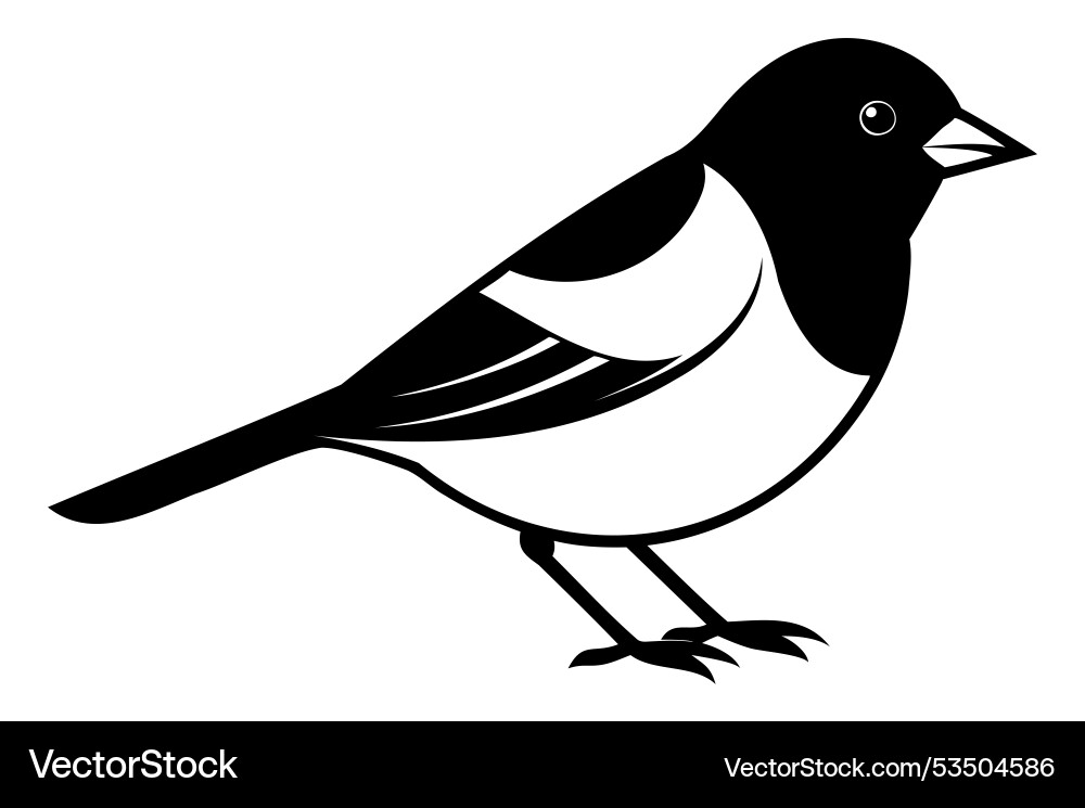 Minimalist bird of a sparrow Royalty Free Vector Image