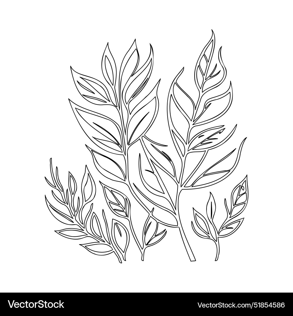 Parallel leaf floral outline sketch Royalty Free Vector