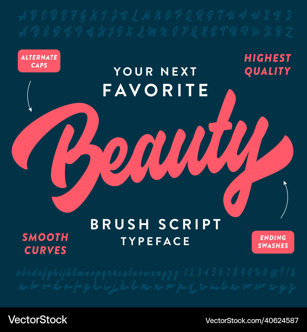 Beauty brush script hand lettering alphabet Vector Image