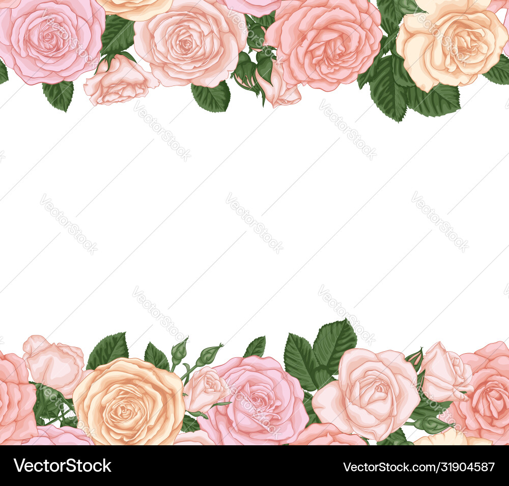 Horizontal seamless background with pink roses Vector Image