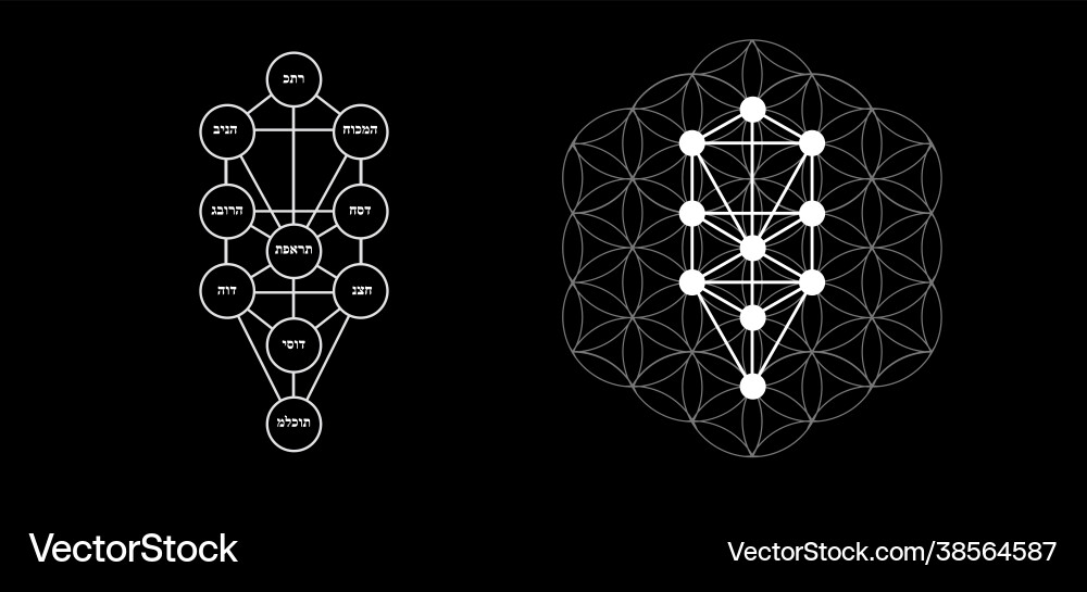 Kabbalah symbol isolated sacred geometry Vector Image