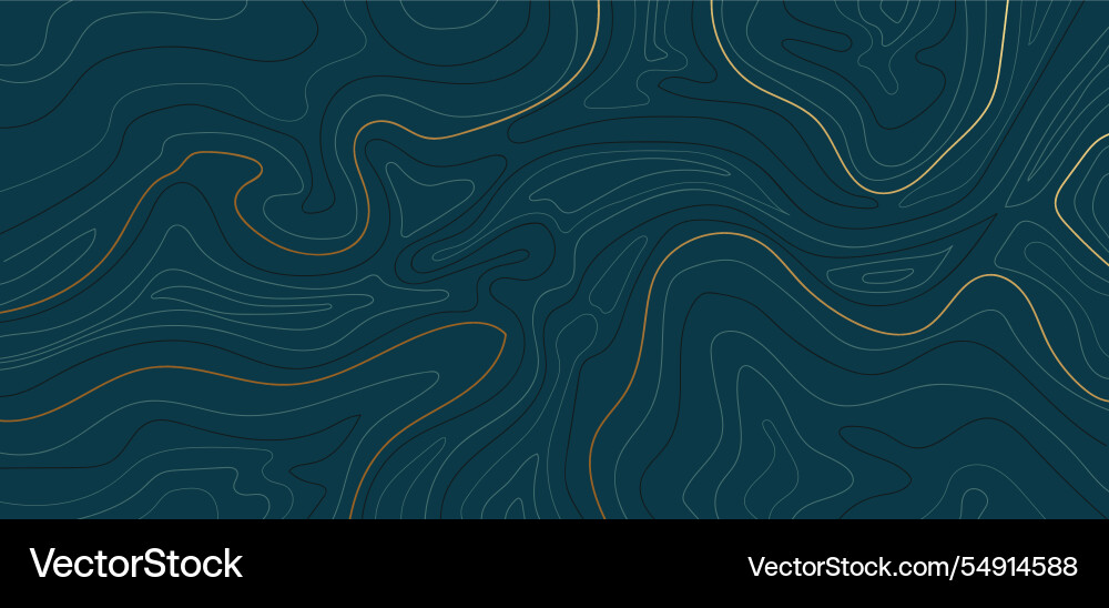 Abstract gold line topography map contour Vector Image