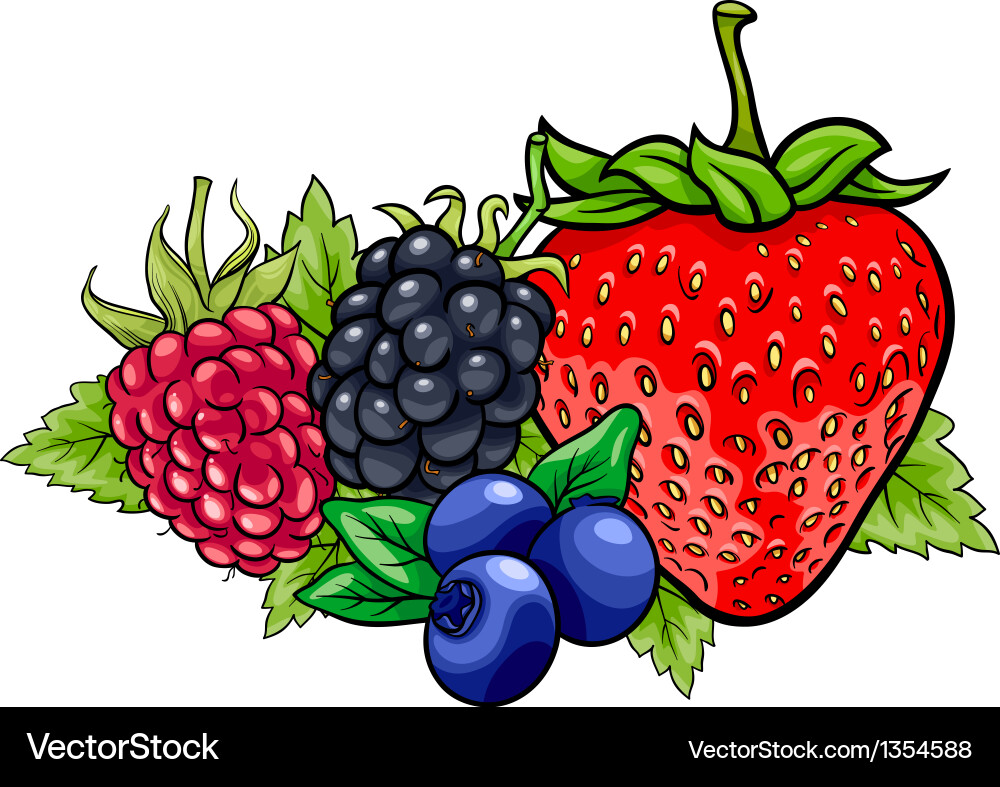 Berry fruits cartoon Royalty Free Vector Image
