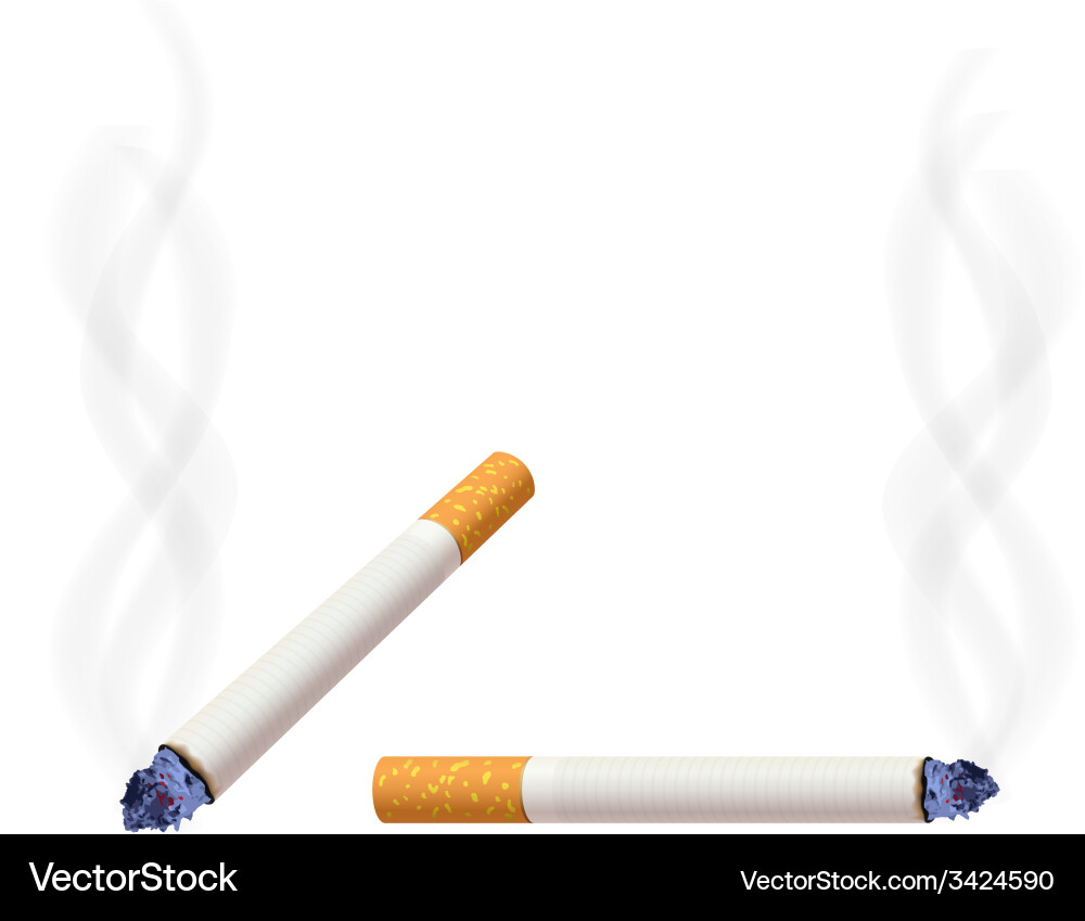 Burning cigarette Royalty Free Vector Image - VectorStock