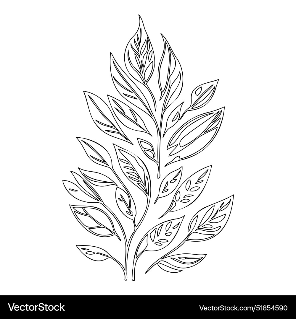 Parallel leaf floral outline sketch Royalty Free Vector