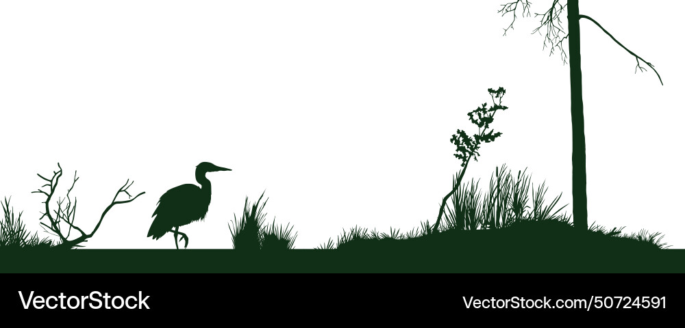 Isolated swamp silhouette marsh scene drawing Vector Image
