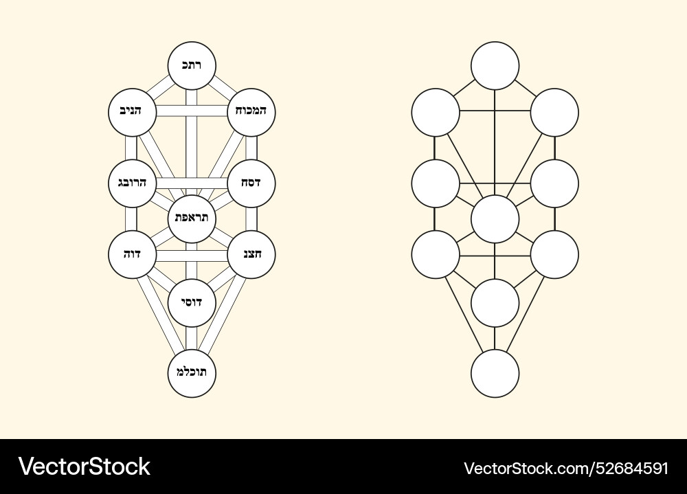 Kabbalah symbol isolated sacred geometry Vector Image
