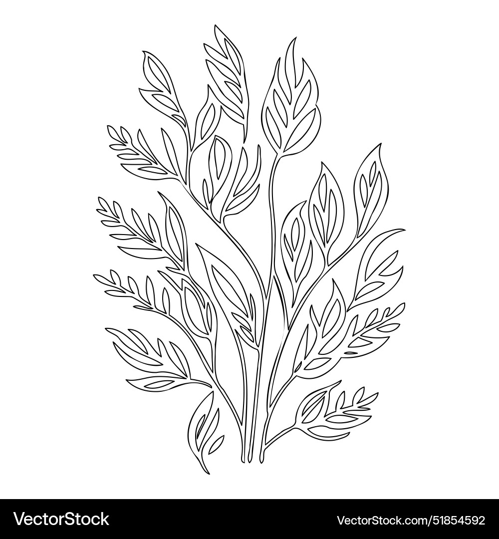 Parallel leaf floral outline sketch Royalty Free Vector