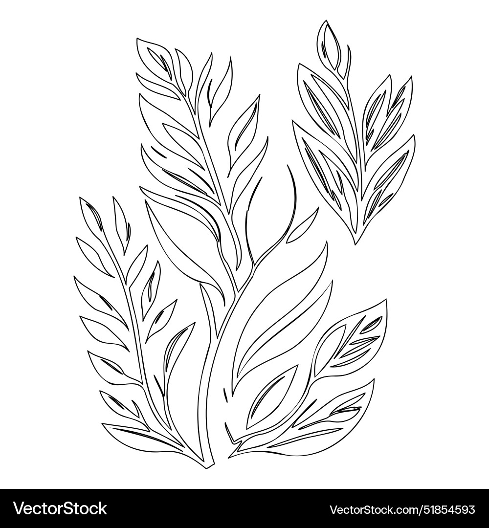 Parallel leaf floral outline sketch Royalty Free Vector