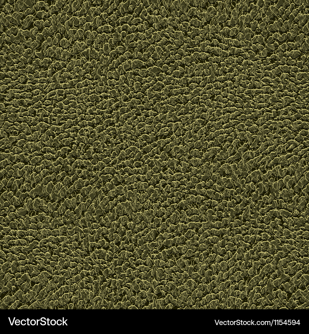 Leather Royalty Free Vector Image - VectorStock