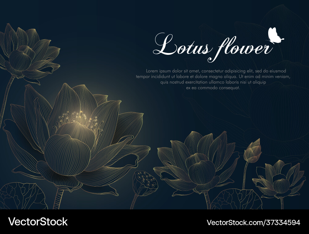 Luxury lotus background design with golden line Vector Image