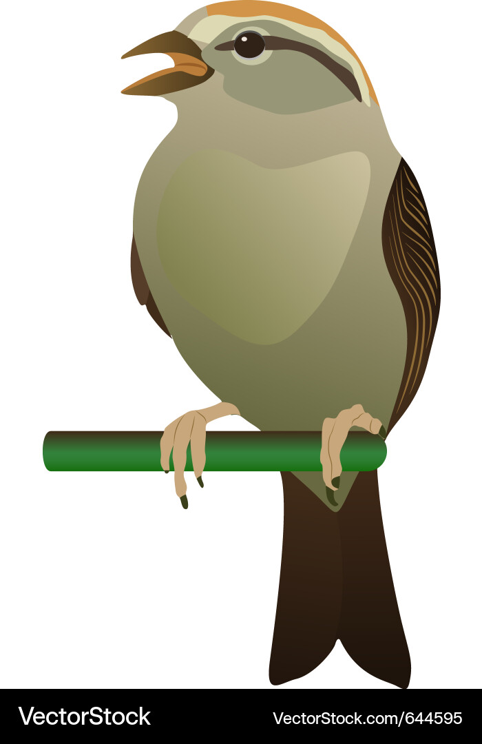 Bird Royalty Free Vector Image - VectorStock