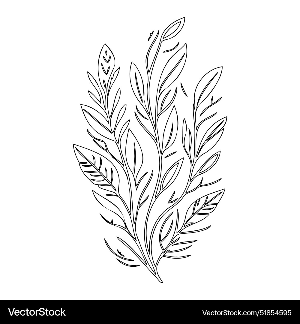 Parallel leaf floral outline sketch Royalty Free Vector