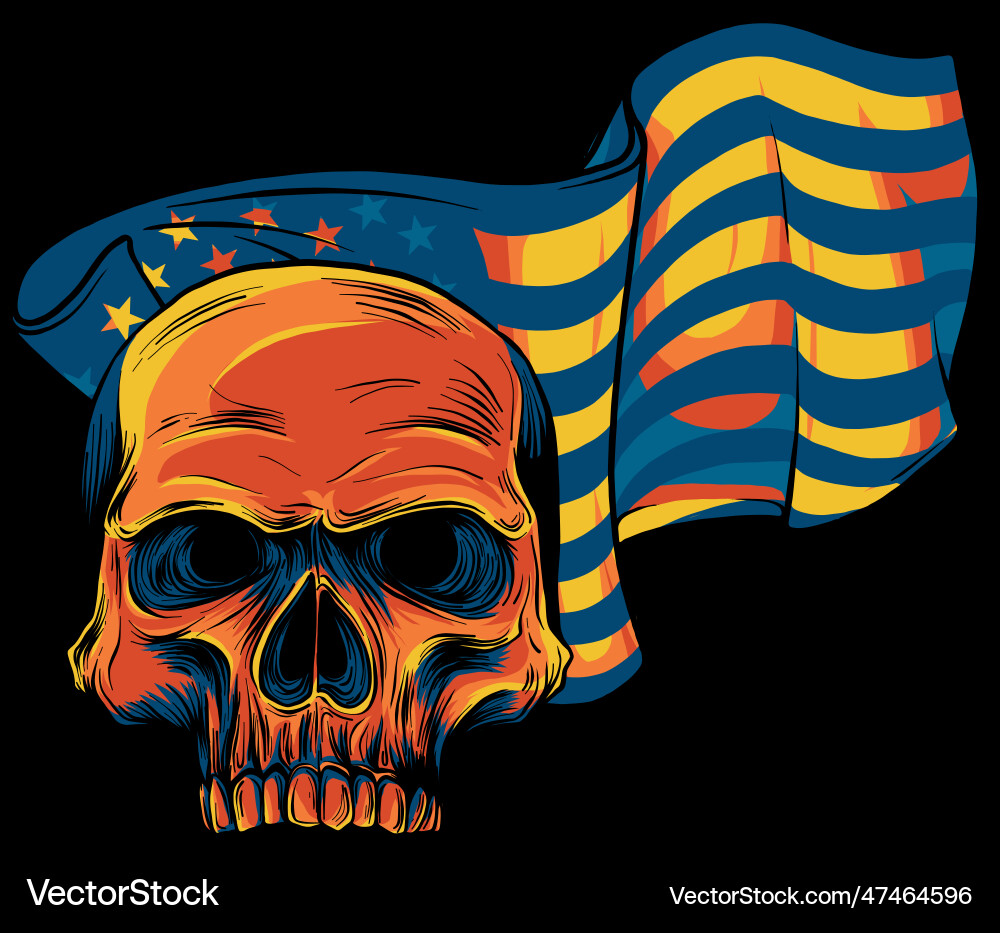 American flag with skull on black background Vector Image