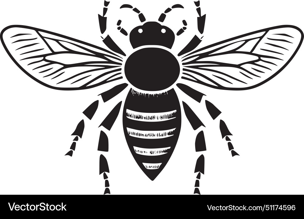 Fly - high quality logo ideal for t-shirt Vector Image