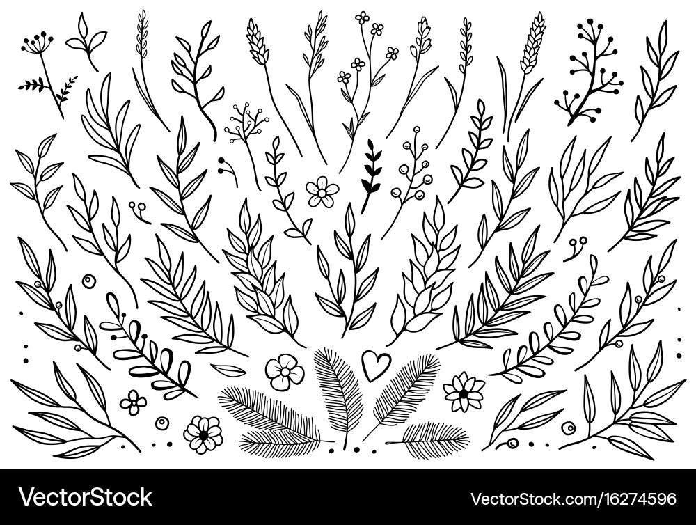 Hand drawn set of tree branches Royalty Free Vector Image