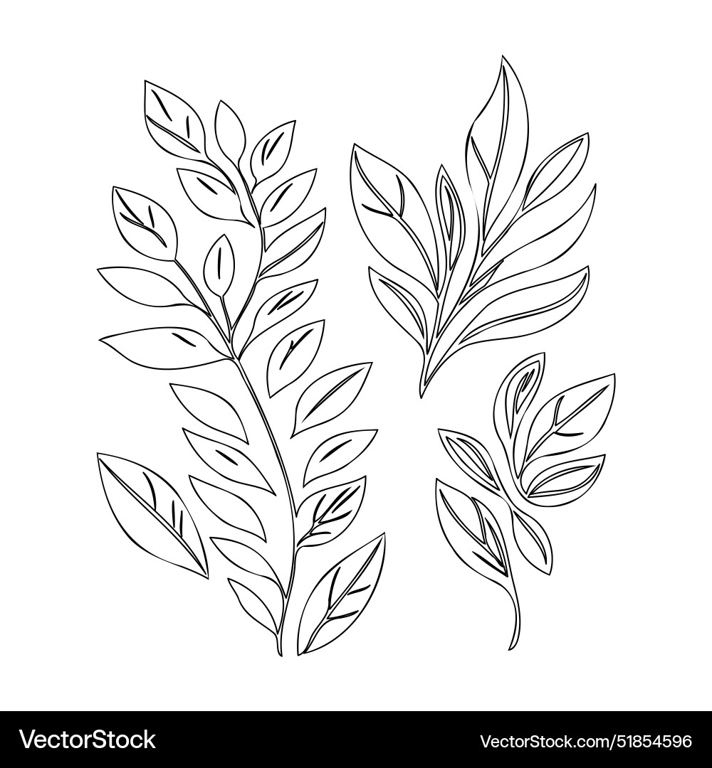 Parallel leaf floral outline sketch Royalty Free Vector