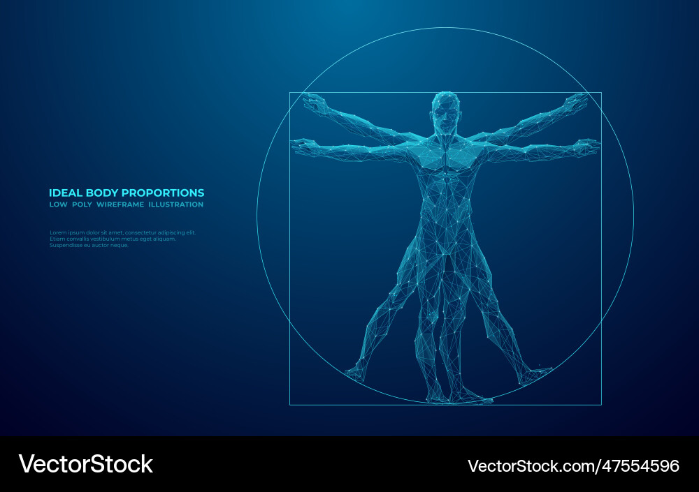 Vitruvian Human Anatomy Royalty Free Vector Image