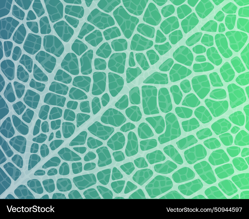 Macro texture of a tree leaf Royalty Free Vector Image