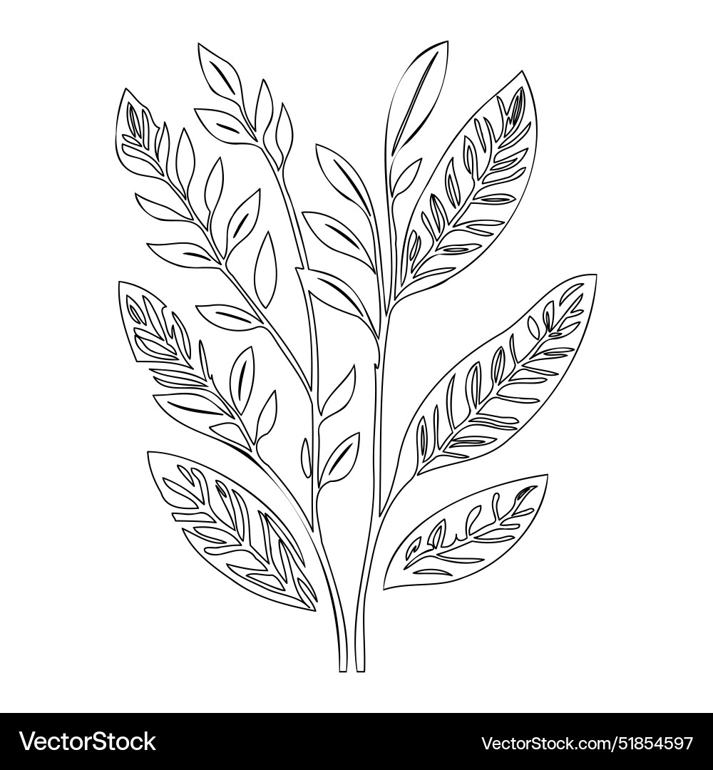 Parallel leaf floral outline sketch Royalty Free Vector