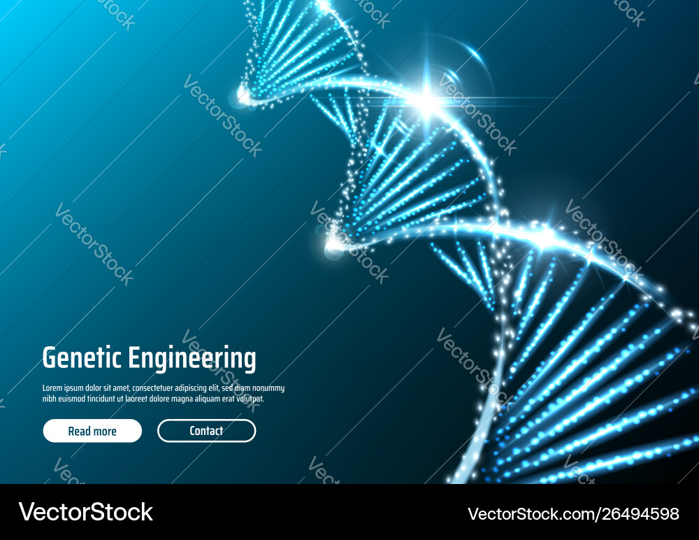 Dna structure genetic engineering web app Vector Image