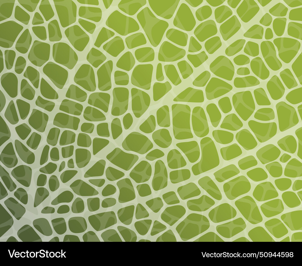 Macro texture of a tree leaf Royalty Free Vector Image