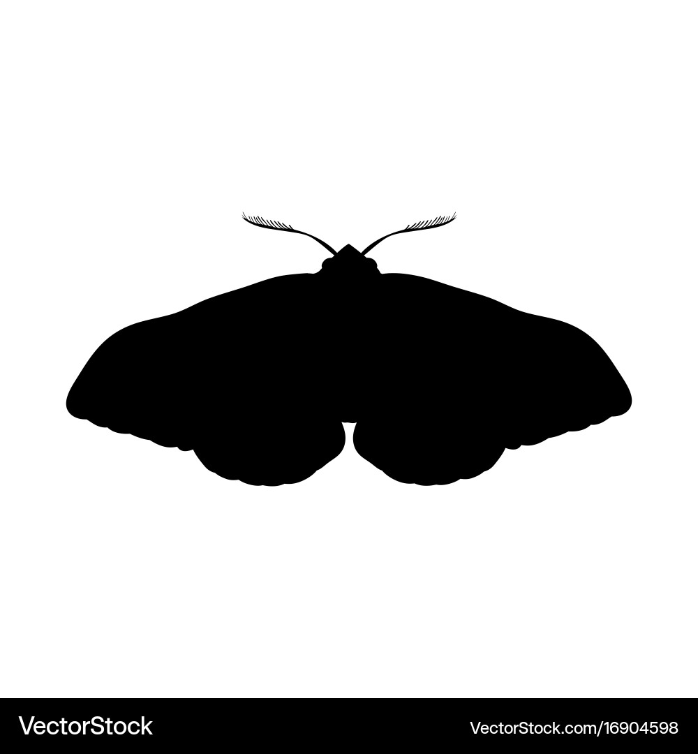 Moth insect black silhouette animal Royalty Free Vector