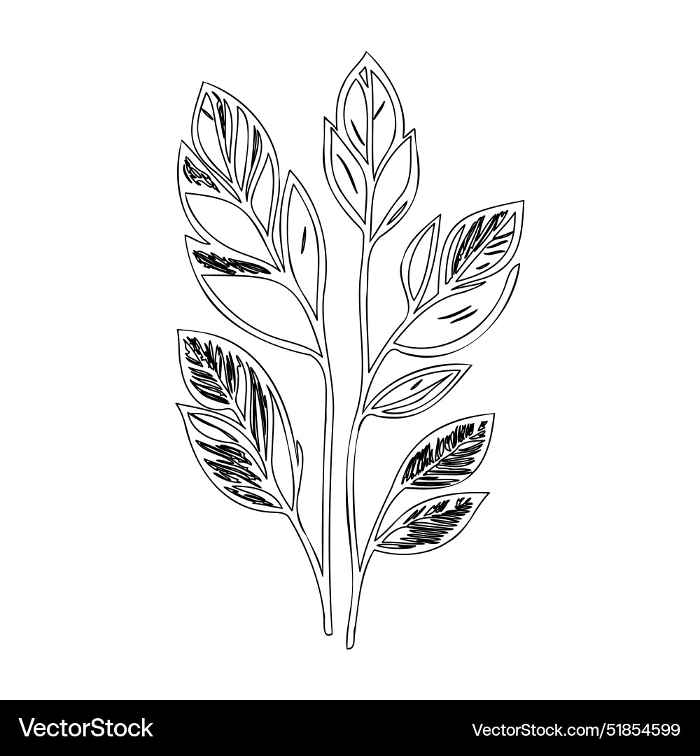 Parallel leaf floral outline sketch Royalty Free Vector
