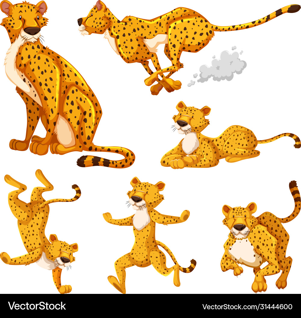 Cheetah Cartoon Character Set Royalty Free Vector Image