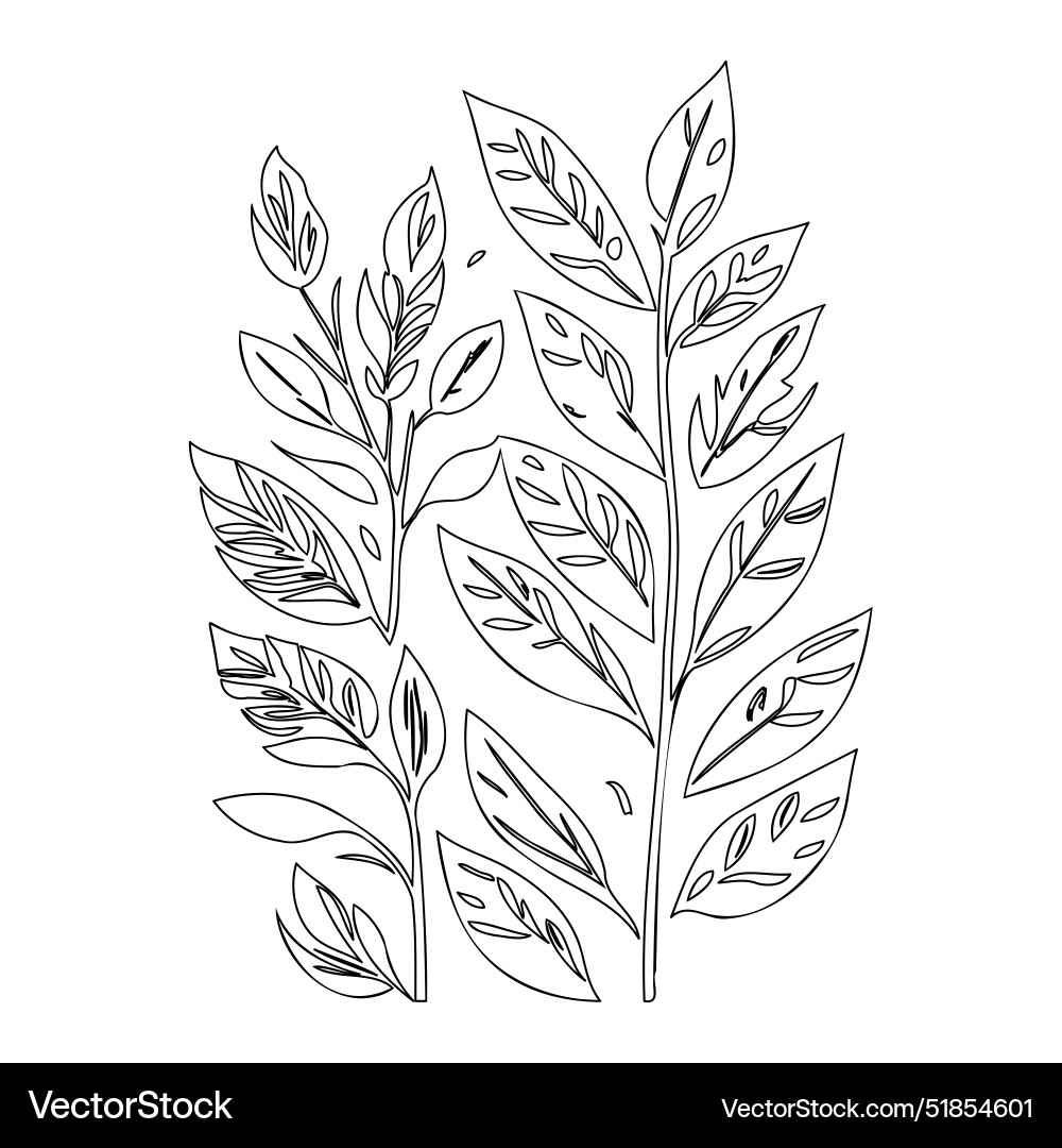 Parallel leaf floral outline sketch Royalty Free Vector