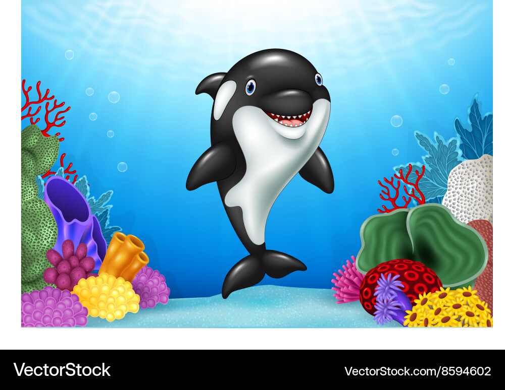 Cute orca with beautiful underwater world Vector Image