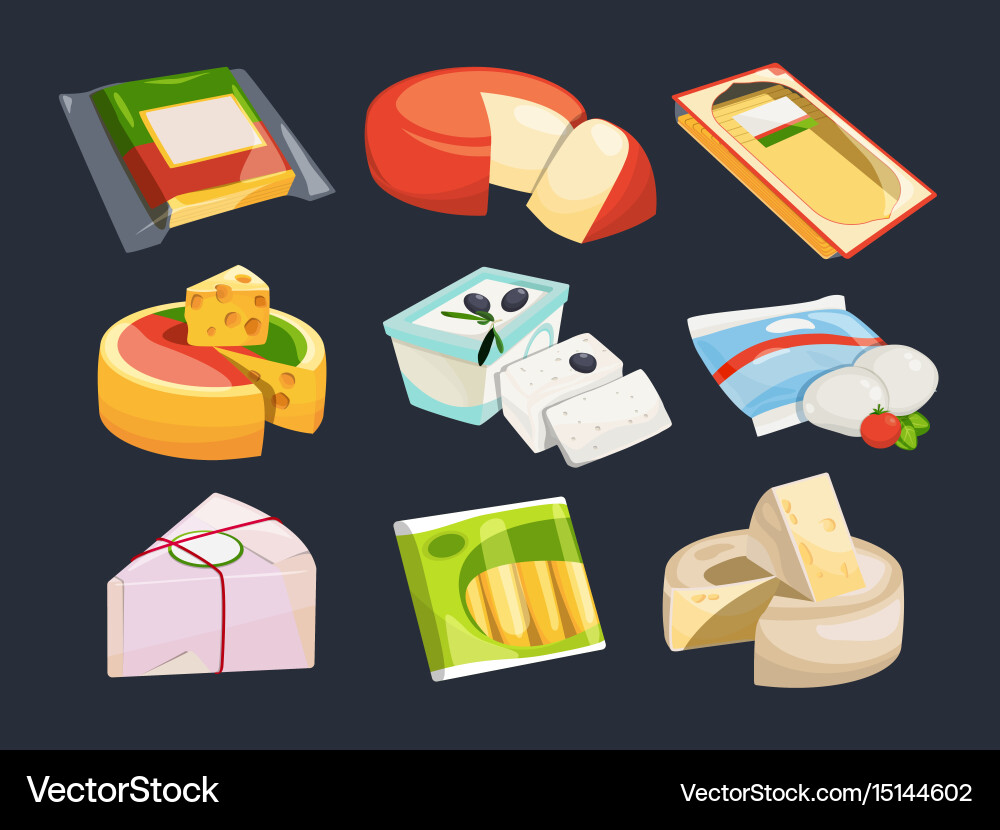 Different packaging of cheeses Royalty Free Vector Image