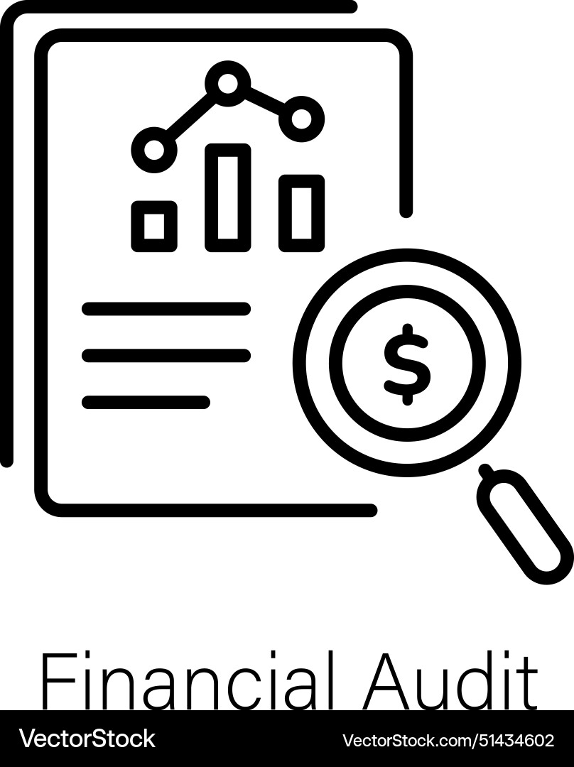 Financial audit Royalty Free Vector Image - VectorStock