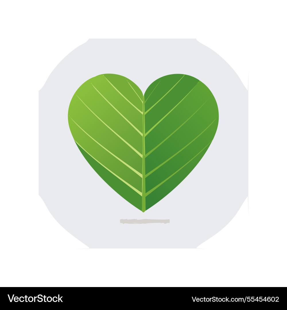 Heart shaped leaf Royalty Free Vector Image - VectorStock