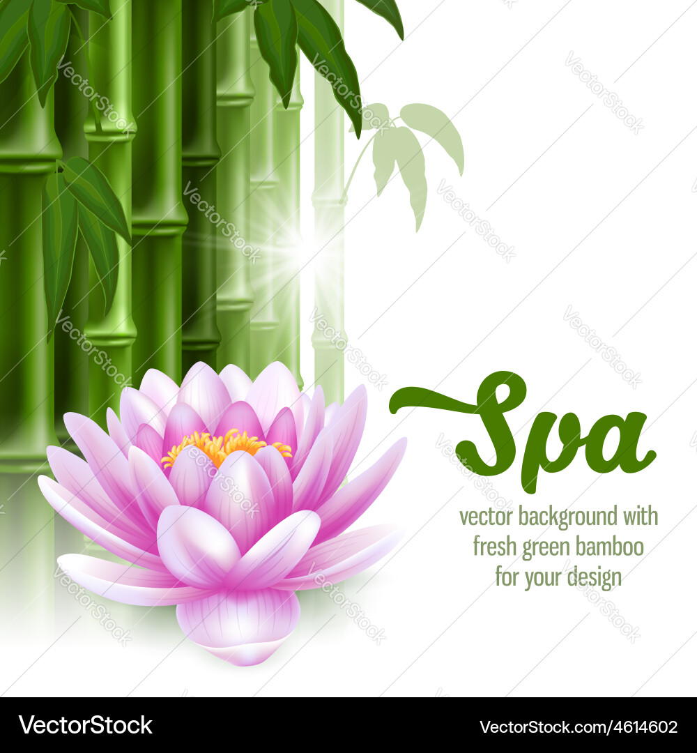 Spa background Royalty Free Vector Image - VectorStock