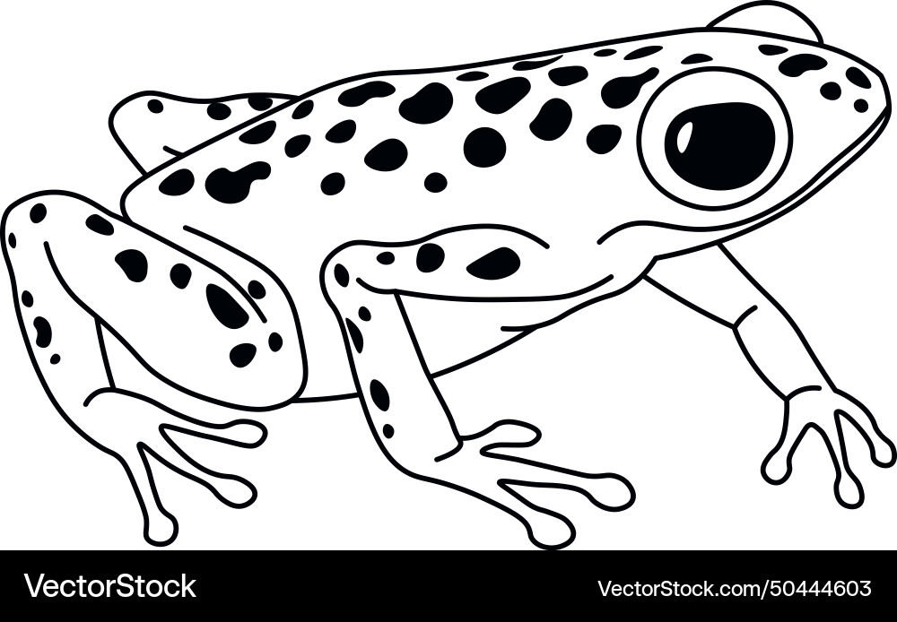 Alert spotted frog looking forward Royalty Free Vector Image