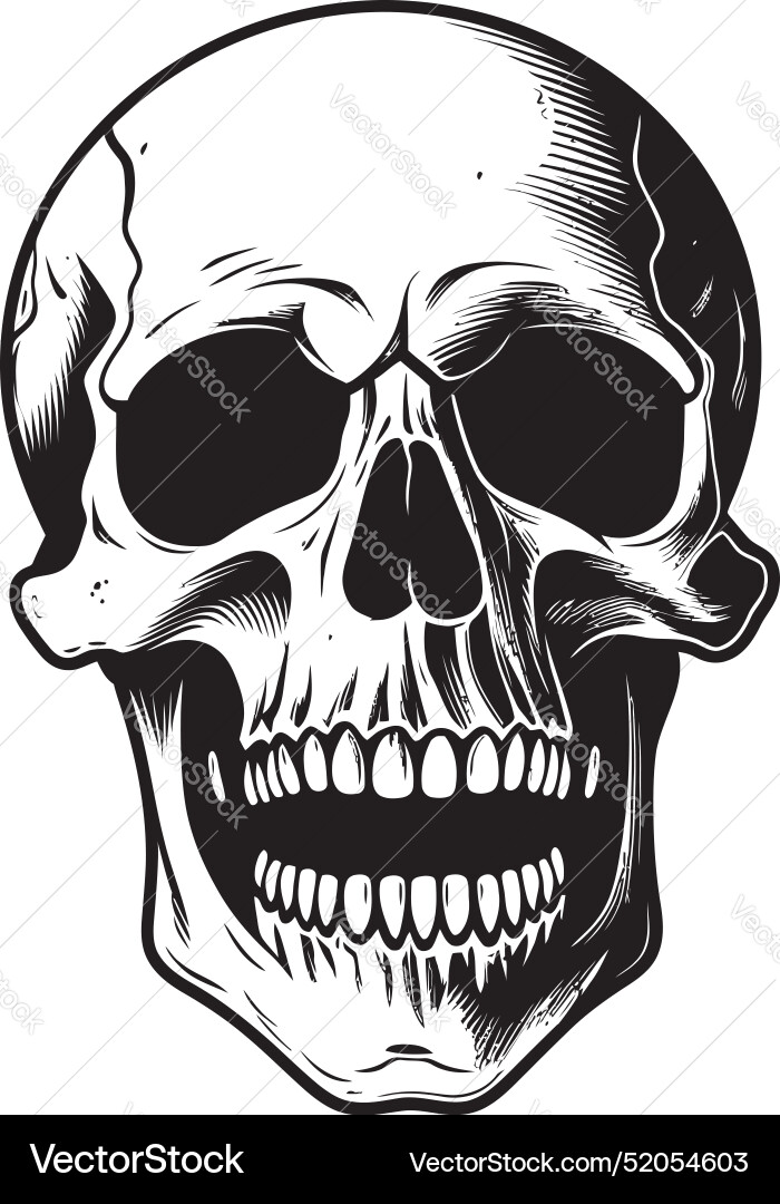 Haunting skeleton icon shocked graphic chilling Vector Image