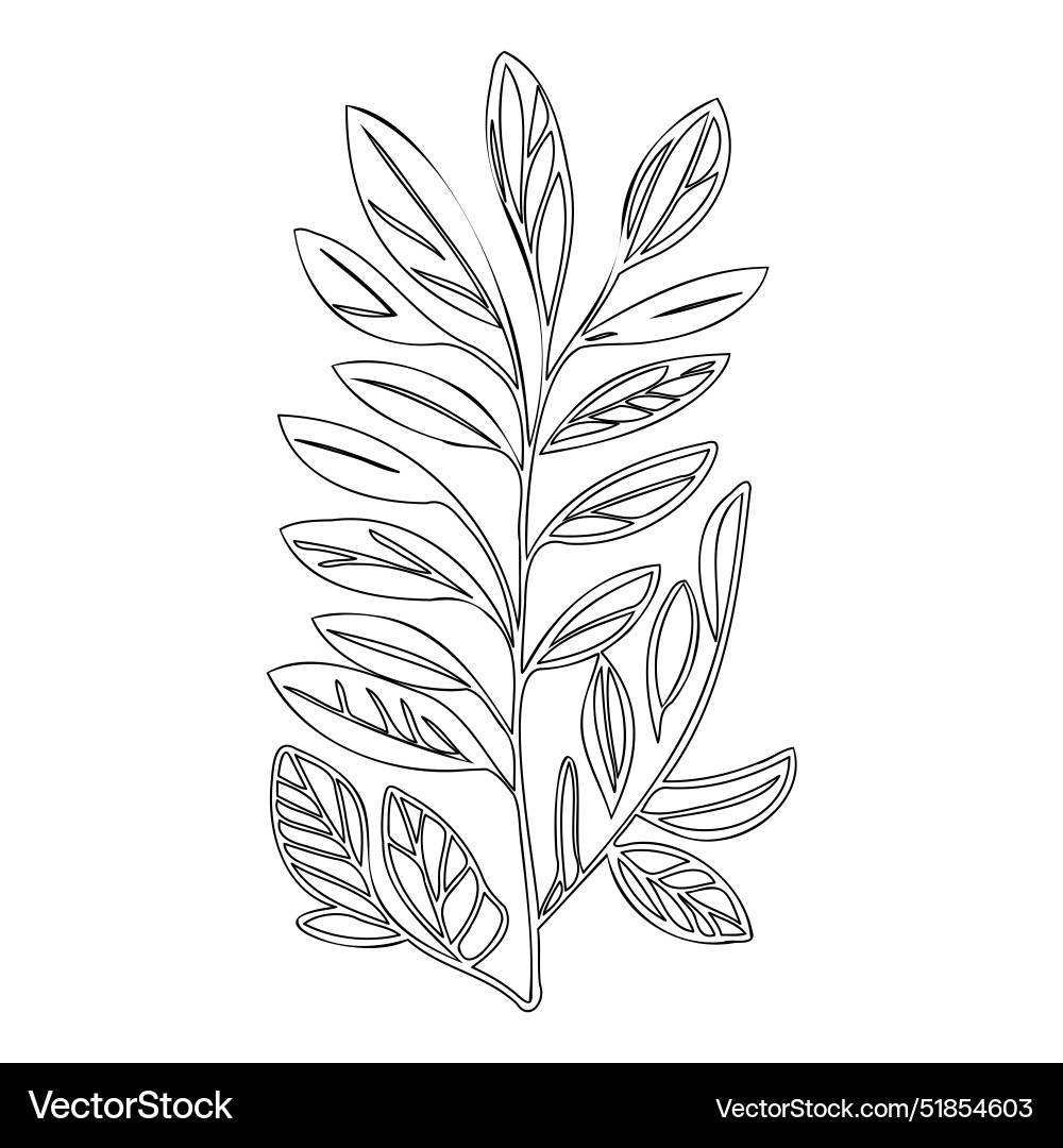 Parallel leaf floral outline sketch Royalty Free Vector