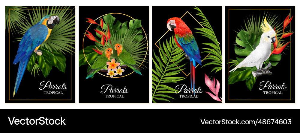 Realistic parrots vertical posters Royalty Free Vector Image