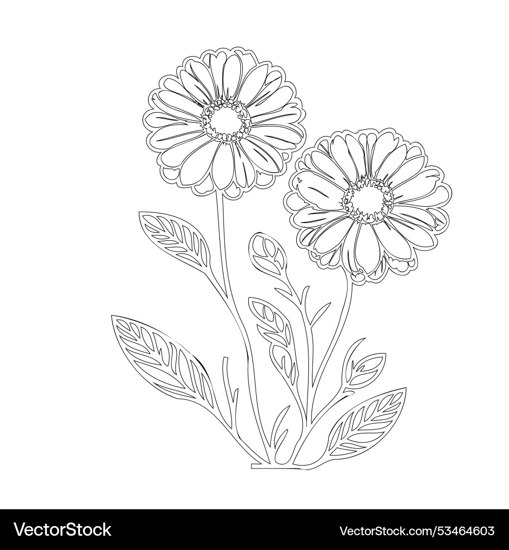 Sunflower outline sketch Royalty Free Vector Image