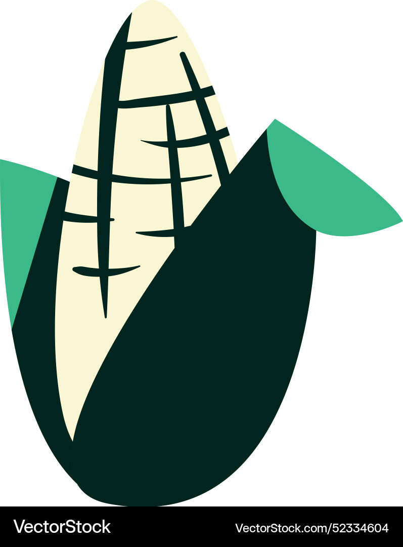 Corn cob agriculture icon Royalty Free Vector Image