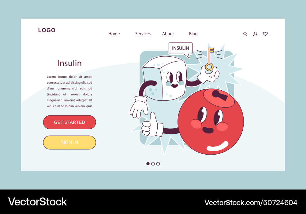 Endocrine system insulin function pancreas gland Vector Image