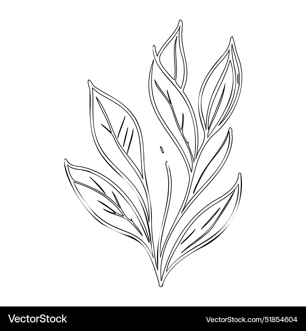 Parallel leaf floral outline sketch Royalty Free Vector