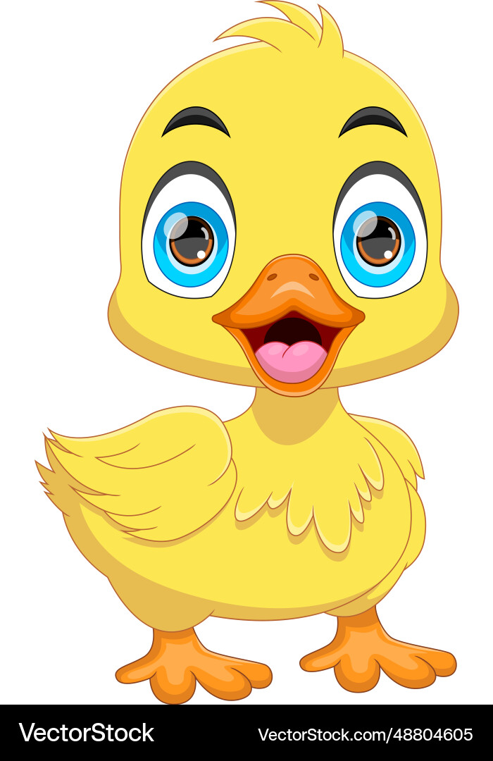 Baby duck cartoon Royalty Free Vector Image - VectorStock