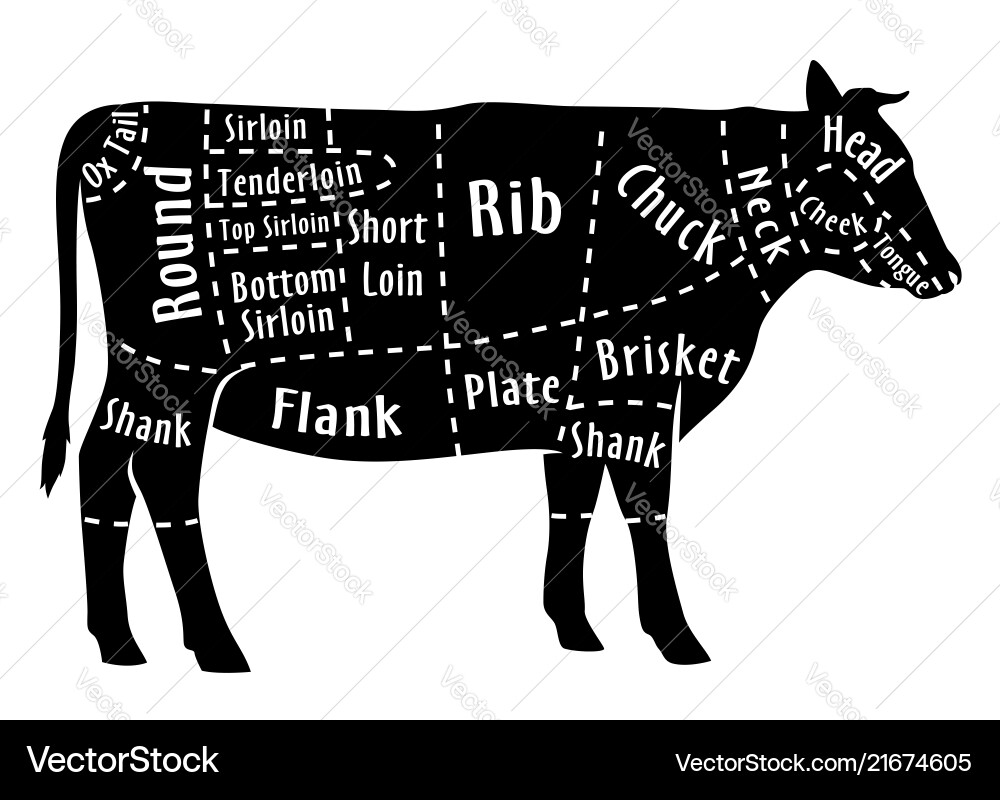 Beef Cut Diagram - Butcher's Guide Royalty Free Vector Image