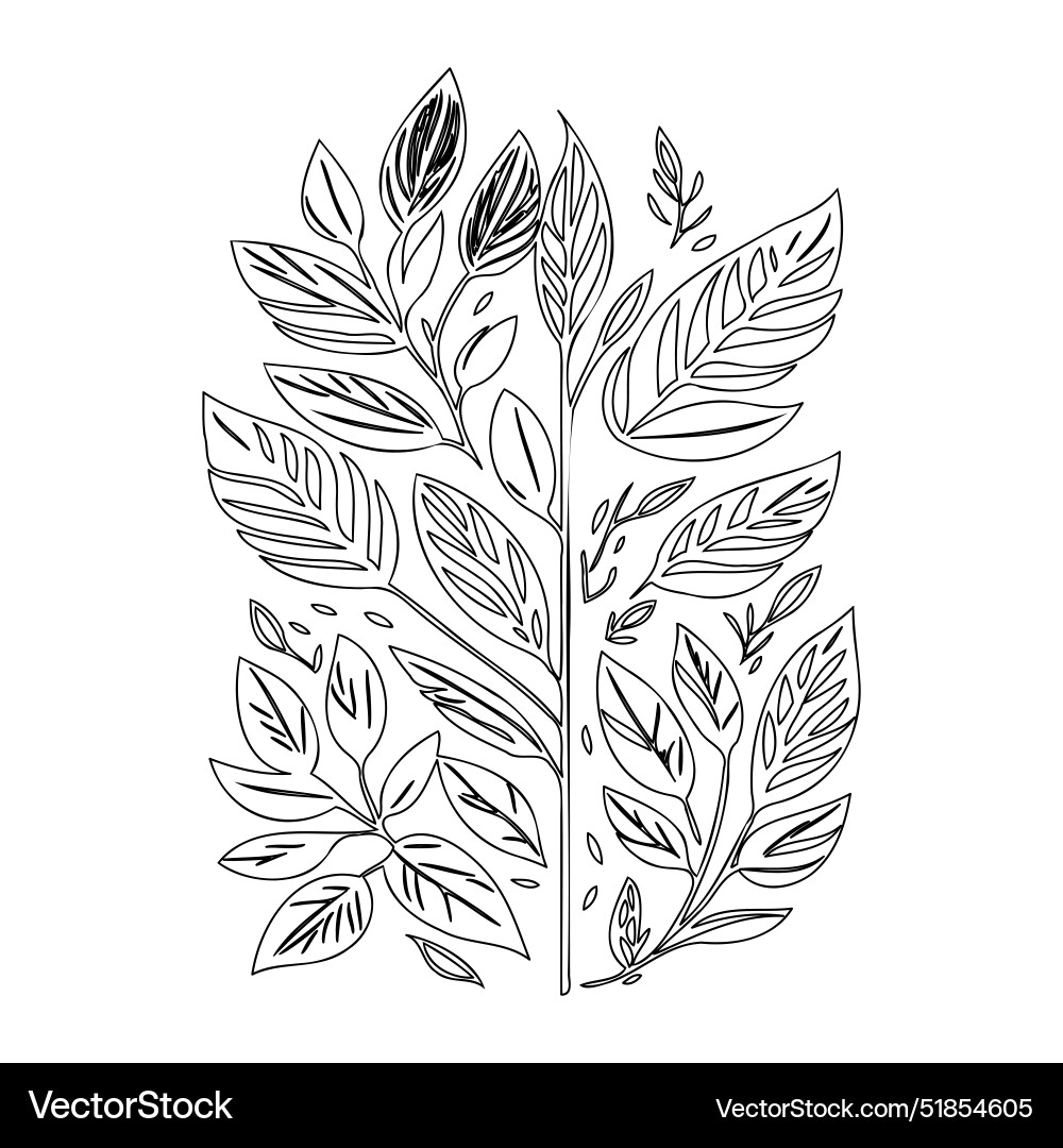 Parallel leaf floral outline sketch Royalty Free Vector
