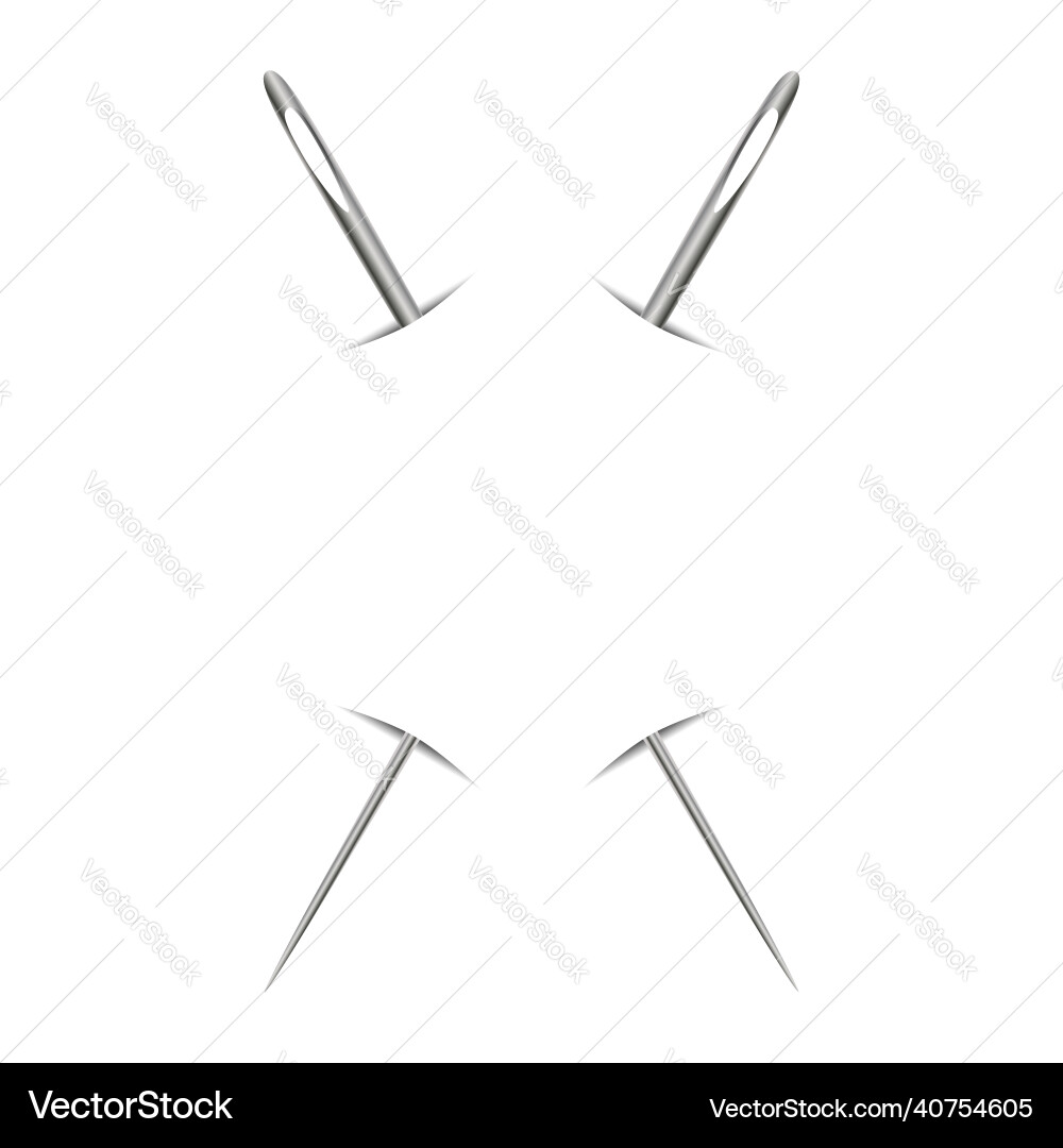 Two needles Royalty Free Vector Image - VectorStock