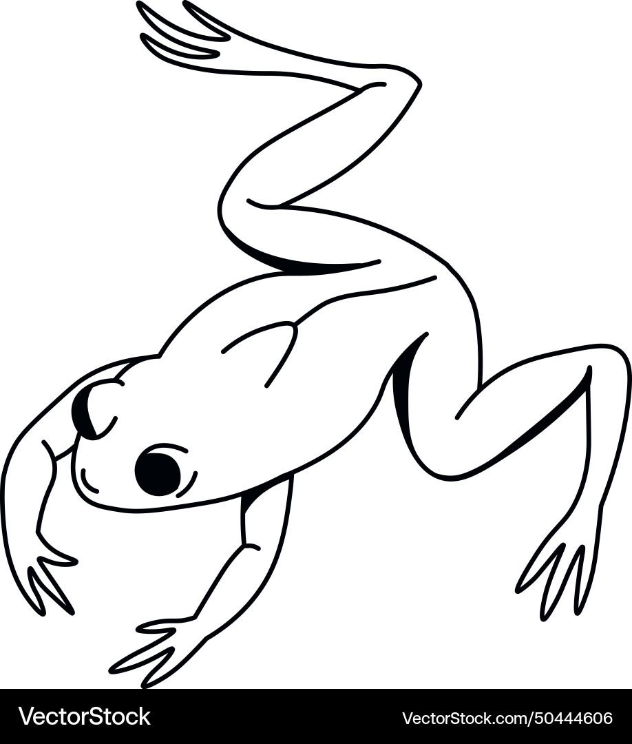 Dynamic frog leap Royalty Free Vector Image - VectorStock