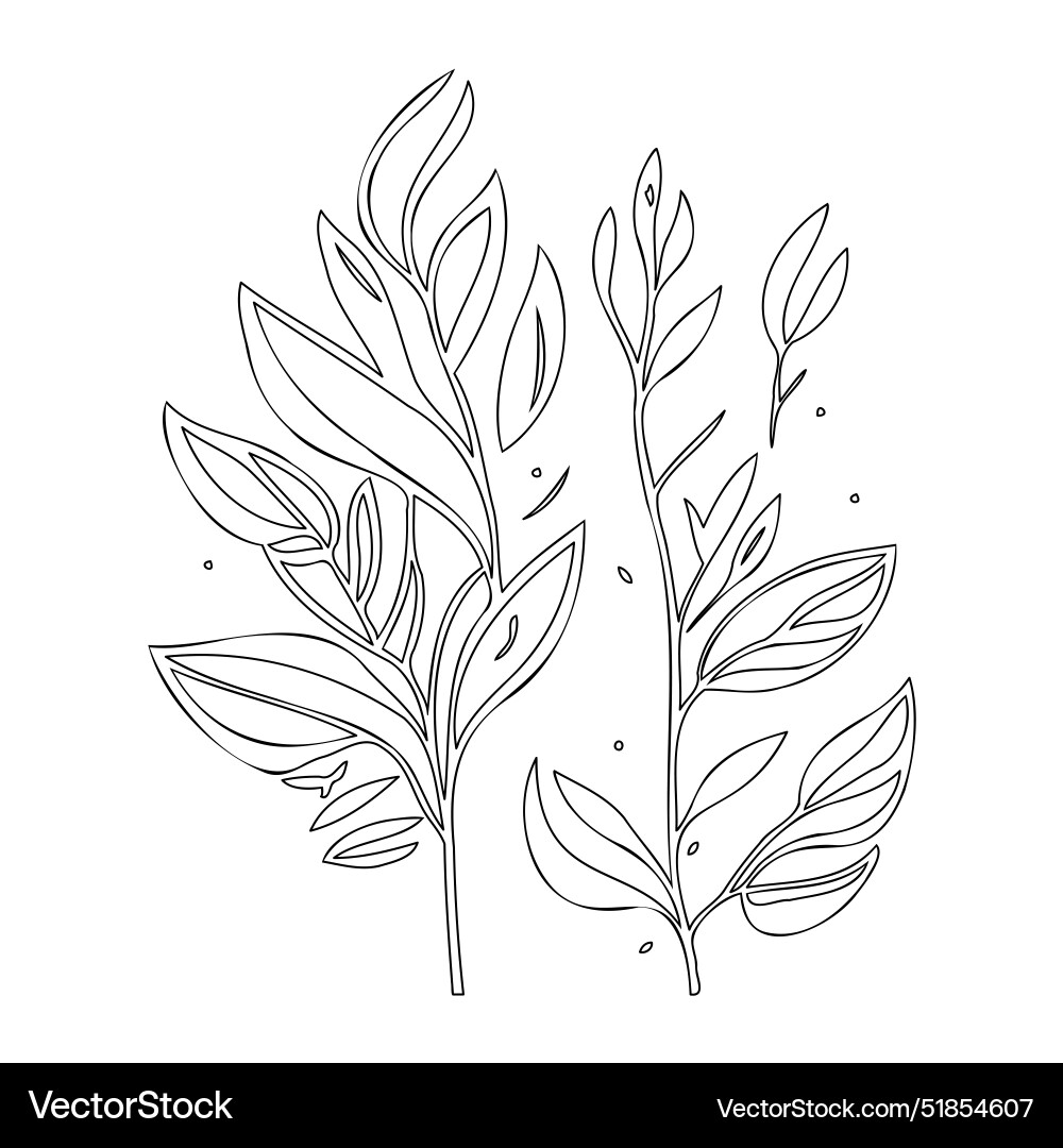 Parallel leaf floral outline sketch Royalty Free Vector