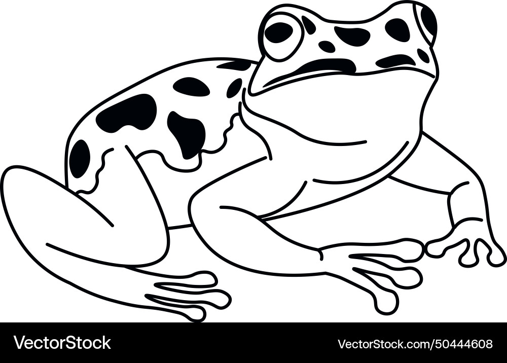 Spotted frog in profile view Royalty Free Vector Image